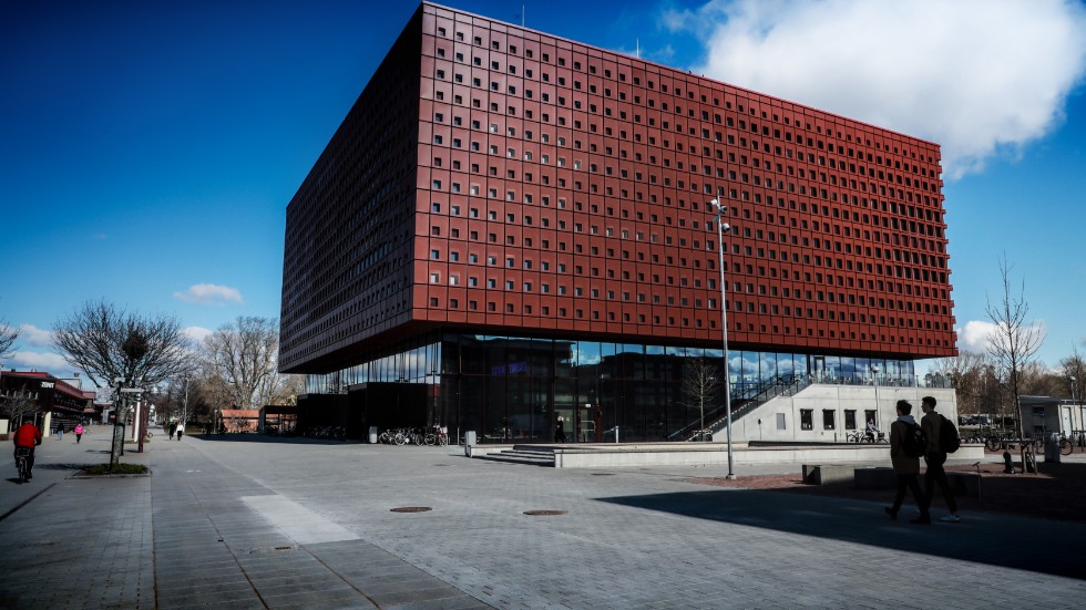 Hackerattack mot Liu – hundratals elever lurade: "Katt och råttaleken mellan oss och angriparna ...