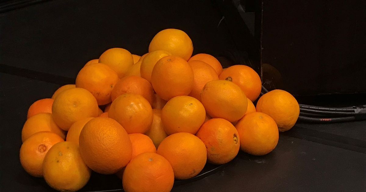 KARL MAGNUS MOULIN: "Ingen som är vid sunda vätskor har apelsin hemma ...