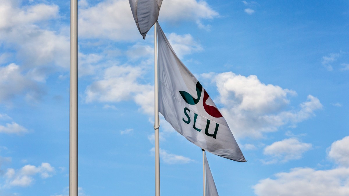 SLU ett av världens bästa universitet - igen