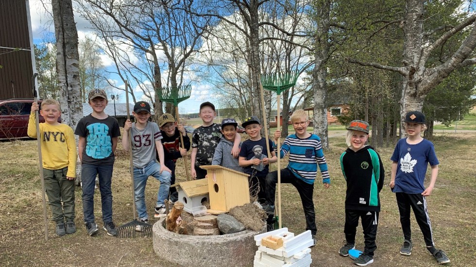 Barn bygger ekorrparadis i Sjulnäs