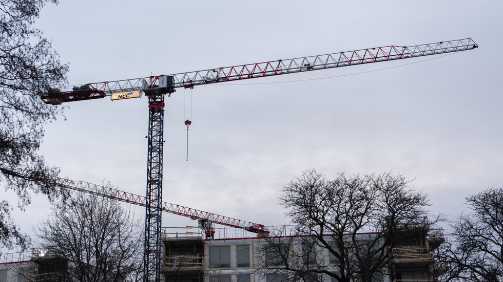Byggbranschen kraftsamlar mot ökad arbetslivskriminalitet i norr