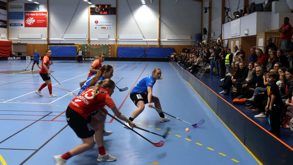 Lilla Alunda – har de något i nya allsvenskan att göra?