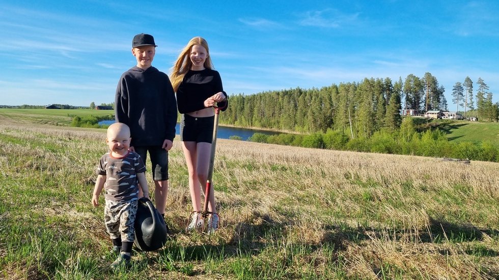 Burträsksyskonens sommarjobb – odling: ”Egna morötter är godast”