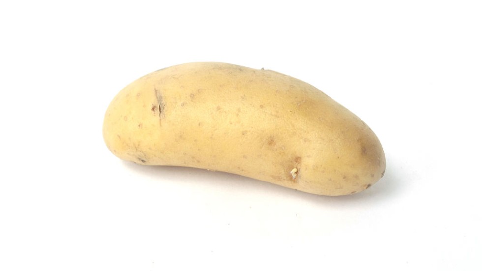 Potatis - så smakar den