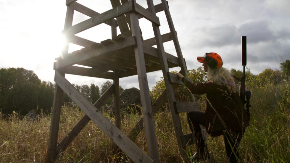 Jägaren Sandra, 32, vet inte om hon någonsin kommer döda: "Jakt är mer ...