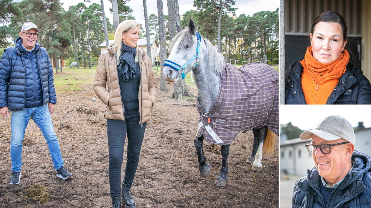 Ridskolan har rest sig ur askan • Stöd räddade klubben som nu fått en ...