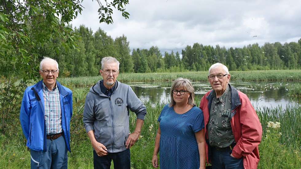 Upprört när måsar invaderar • "Mycket avföring precis överallt"