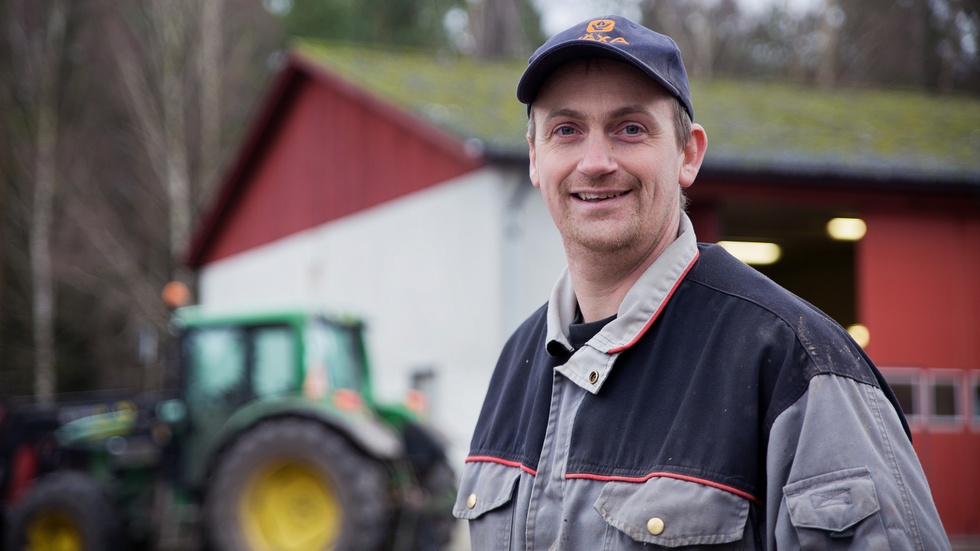 Johan tvingades avliva 1 600 höns – så gick det sen