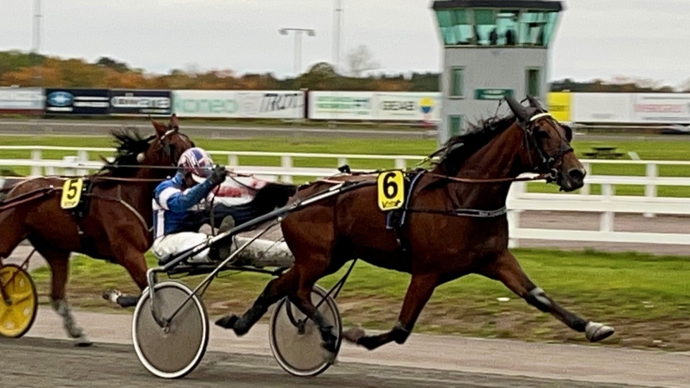 Många delaktiga i torsdagens vinnare på Visbytravet