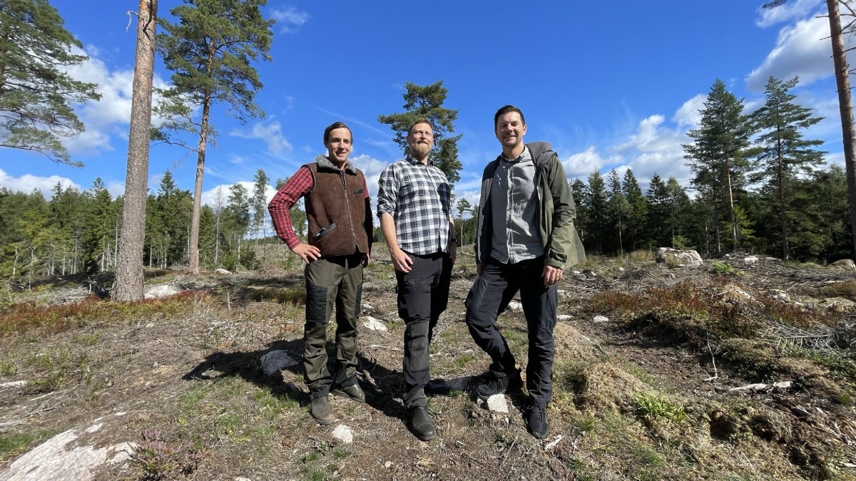 Här planeras en gigantisk solcellspark • 30 gånger större än Sveriges ...