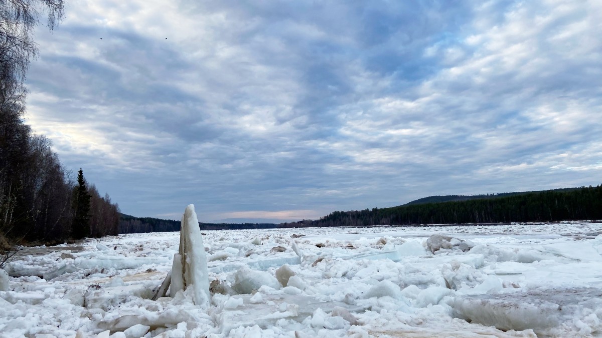 Islossningen i Kalix älv – formidabla formationer