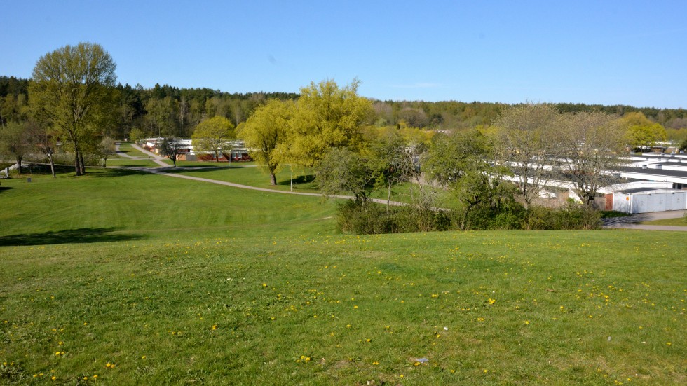 Konst ska lyfta upp stadsdelspark i Navestad