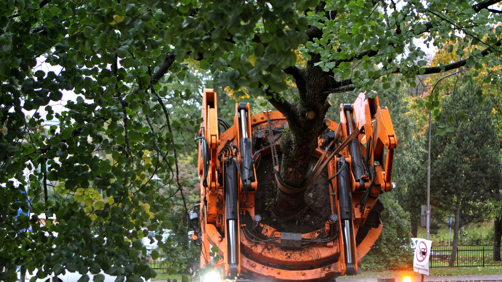 Märkliga synen – mitt i Uppsala: "Ringde mamma"