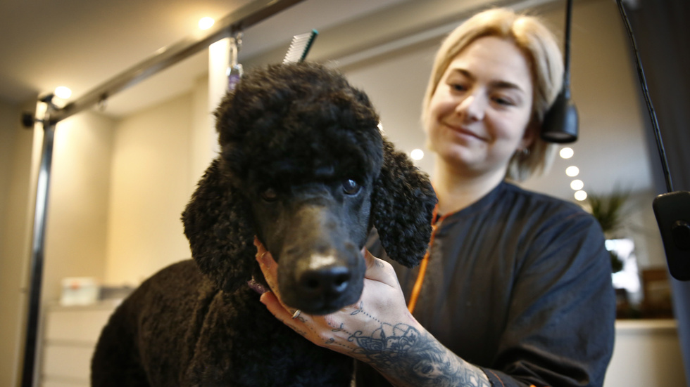 Nora, 25, vågade följa sin dröm: "Det får bära eller brista"