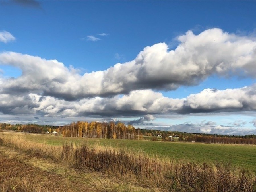 Hösten är här nu, och naturen byter färg