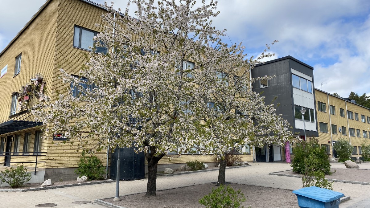 Tre flickor i mellanstadiet hittade kniv och tabletter på skolgård ...