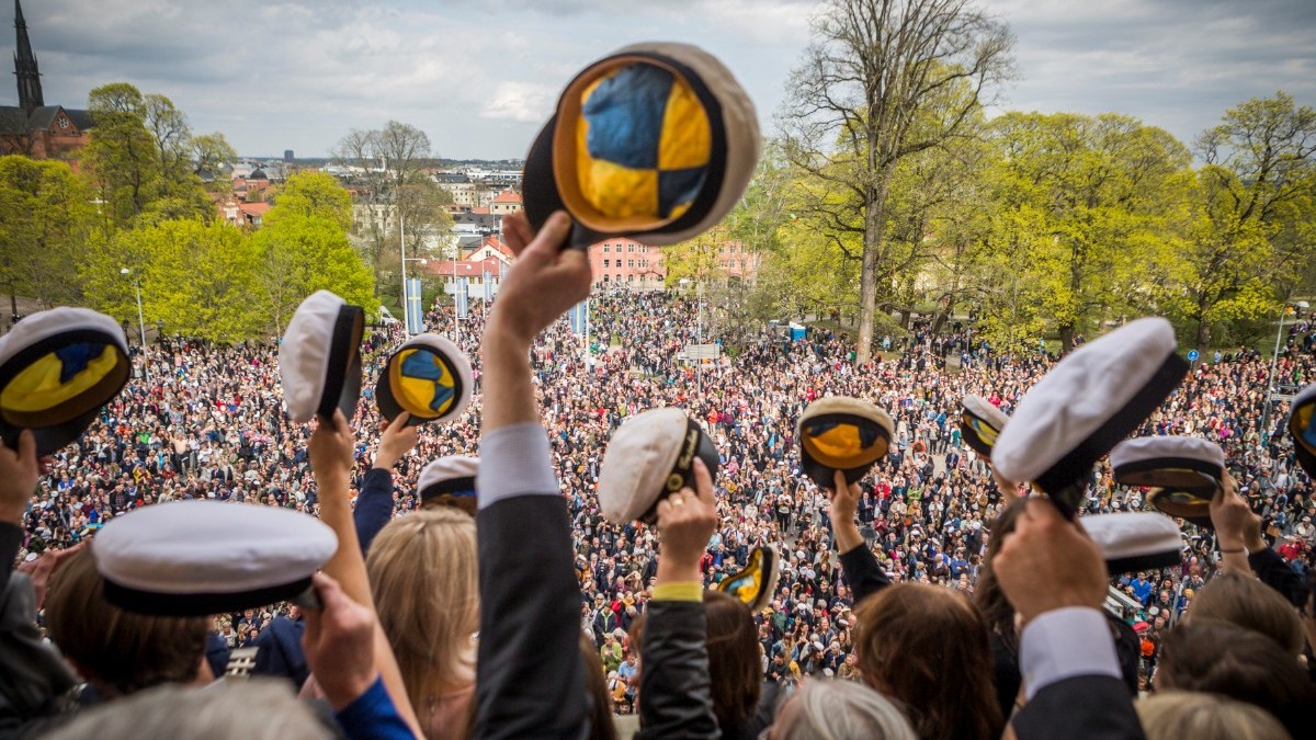 Forskarl, skvalborg och Glad sås? Här är ordlistan