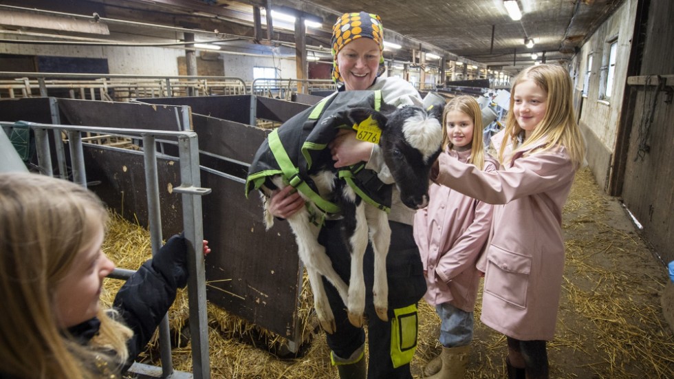 Stor brist på veterinärer – jourbemanningen urholkas Kobonden Maria ...