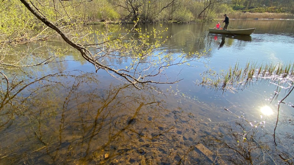 Det vilda Boxholm – få naturreservat men gott om orörd natur