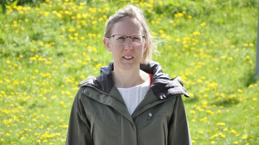 Nu ska Skarholmen rustas upp – här är planerna