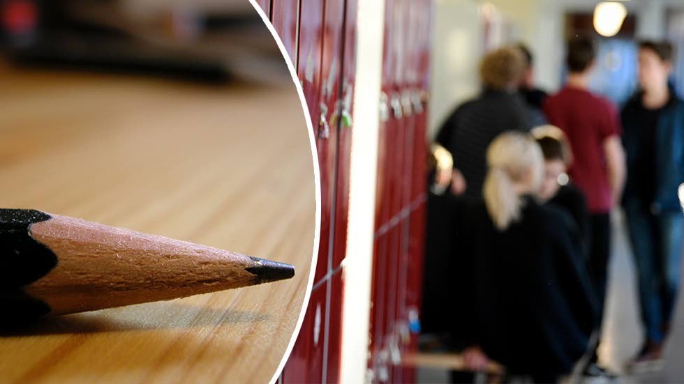 Emma i Motala fick ett epilepsianfall framför sina barn – ledde till ...