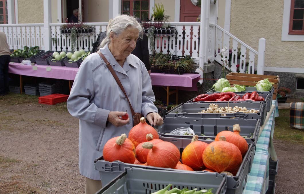 Här plöjs bara som en ploj