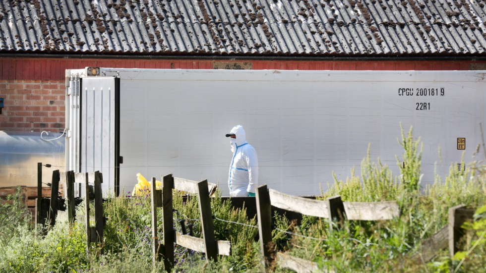 Johan tvingades avliva 1 600 höns – så gick det sen