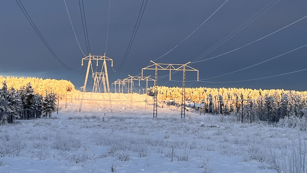 Knastrigt fin vinterbild från Jokkmokk