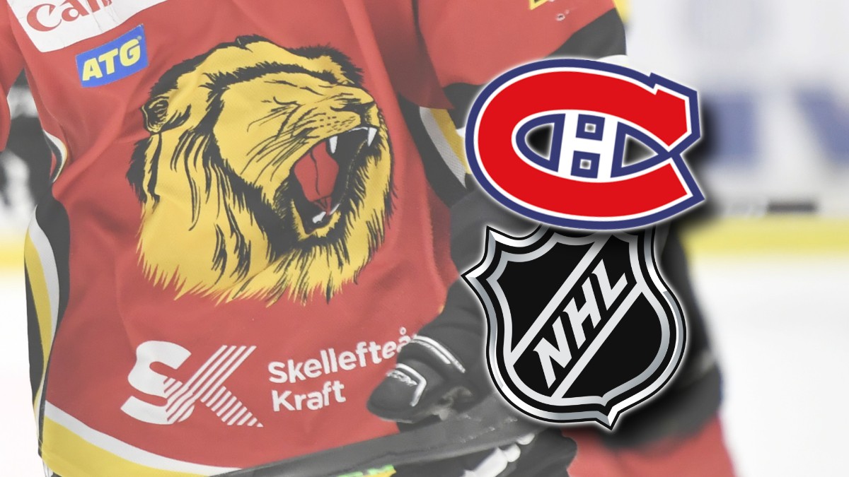 Dömdes i Skellefteå – får nu klartecken från NHL