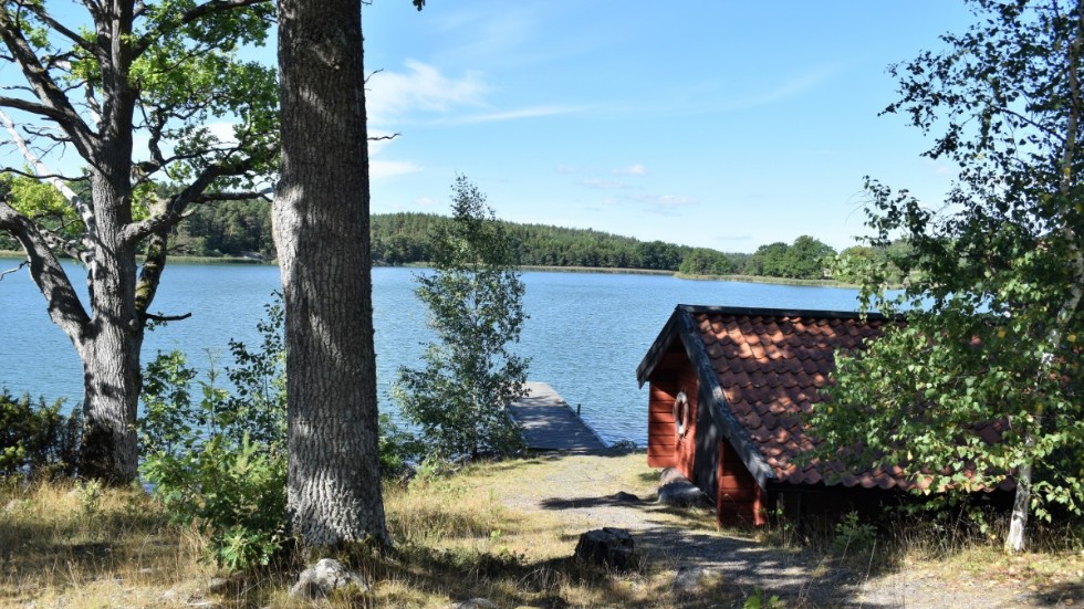 Föreningen har många frågor om reservatet