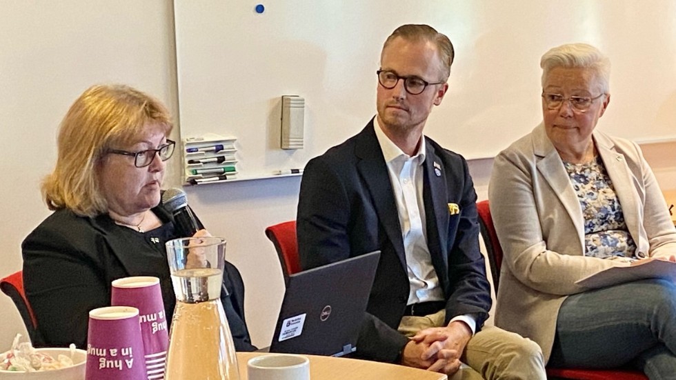 Jakten på rösterna – politiker i het debatt om näringslivets utmaningar ...