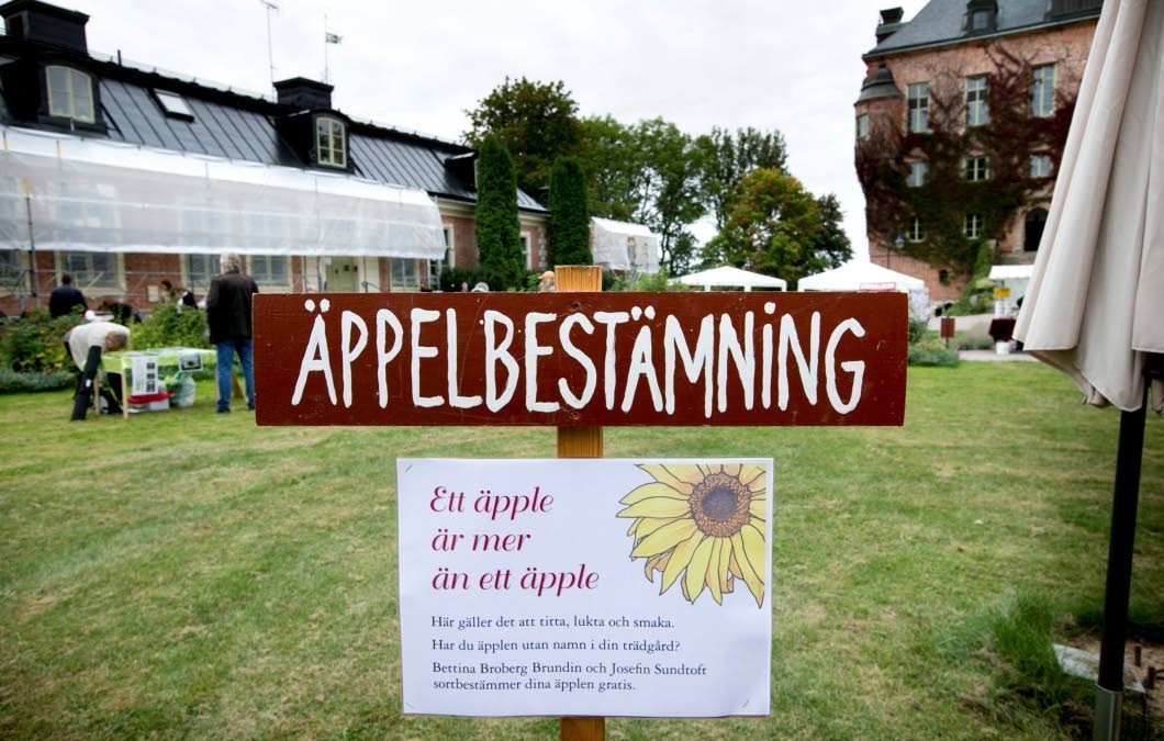 Äppelfrossa vid Wiks slott