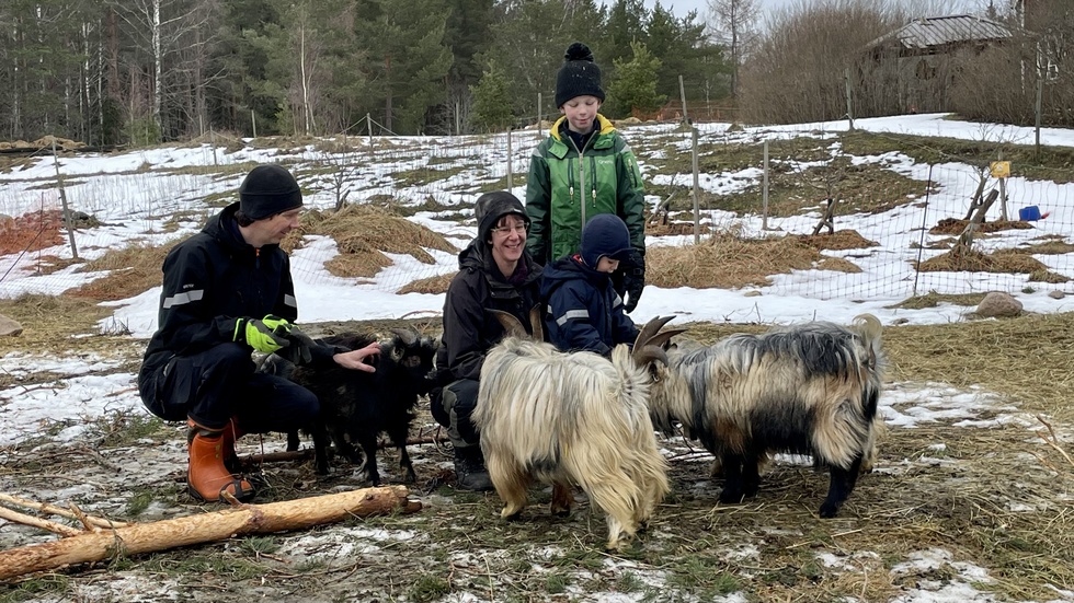 Såg annonsen – det blev starten på ett helt nytt liv