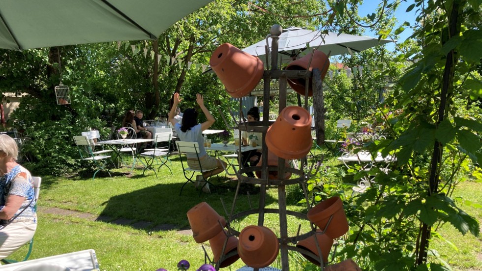 Nej till att göra Gubbens trädgård till byggnadsminne Inte är så unik ...