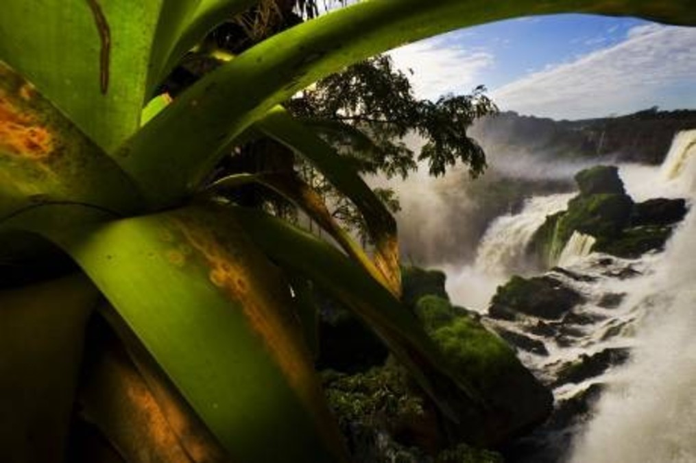 Klum visar regnskogen