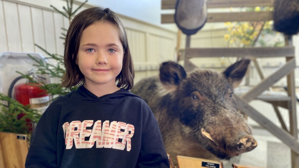 "Va? Var det viltkött? – I Boxholm serverades vilda maträtter och ...