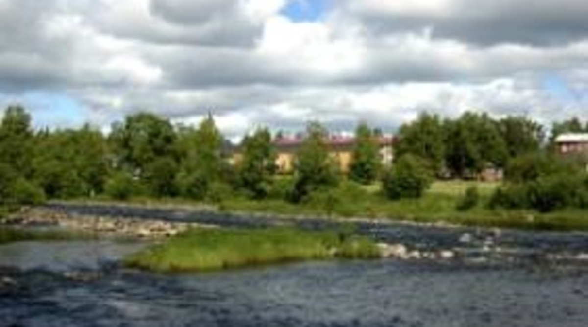 GUNNAR WESTRIN: Var är harren i Råneälven?