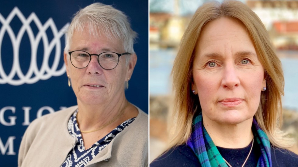 Dammsdalsskolan blev het fråga i regionfullmäktige