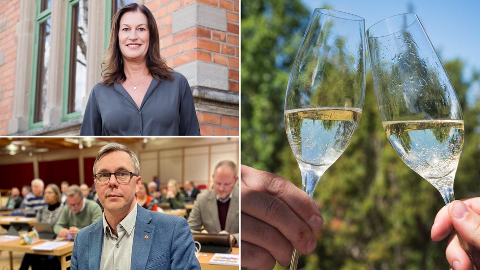 NIKLAS OTTO OLSSON: Kommunen ska inte bjuda företagarna på vin och starköl