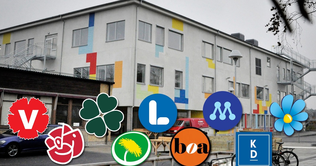 Partiernas skollöften: Mer fysisk aktivitet Kött varje dag Fler ska få ...