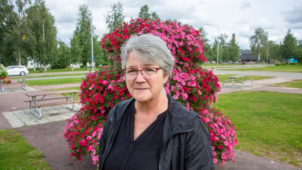 Gruvan och gröna vågen splittrar Jokkmokks politiker Partiernas viktigaste valfråga