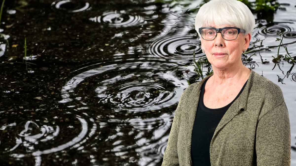 BIRGITTA PETTERSSON: Birgitta Pettersson: På utflykt i en upprörd ...