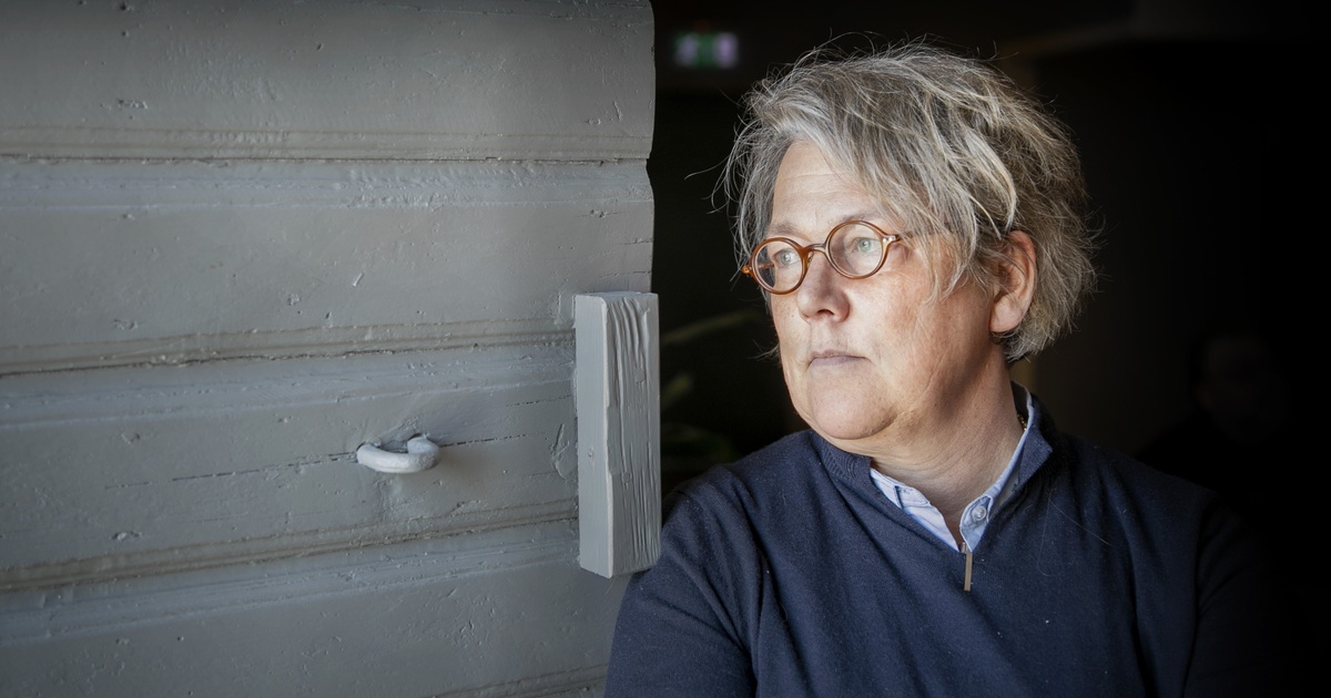 ANNA HRDLICKA: "Region Gotland behöver bli snabbare på att få fram ...