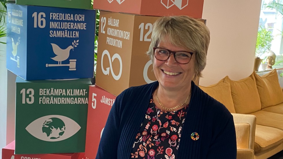 Söderköpingsinitiativet räknar med politiskt inflytande