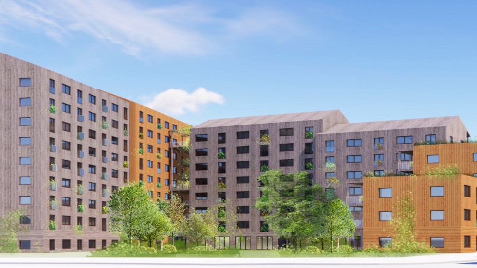 170 lägenheter ska byggas på Bodens hetaste tomt • Fjärilshotell och ...