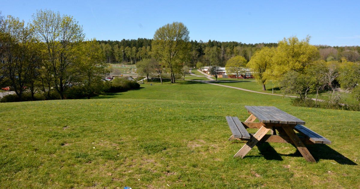 Konst ska lyfta upp stadsdelspark i Navestad