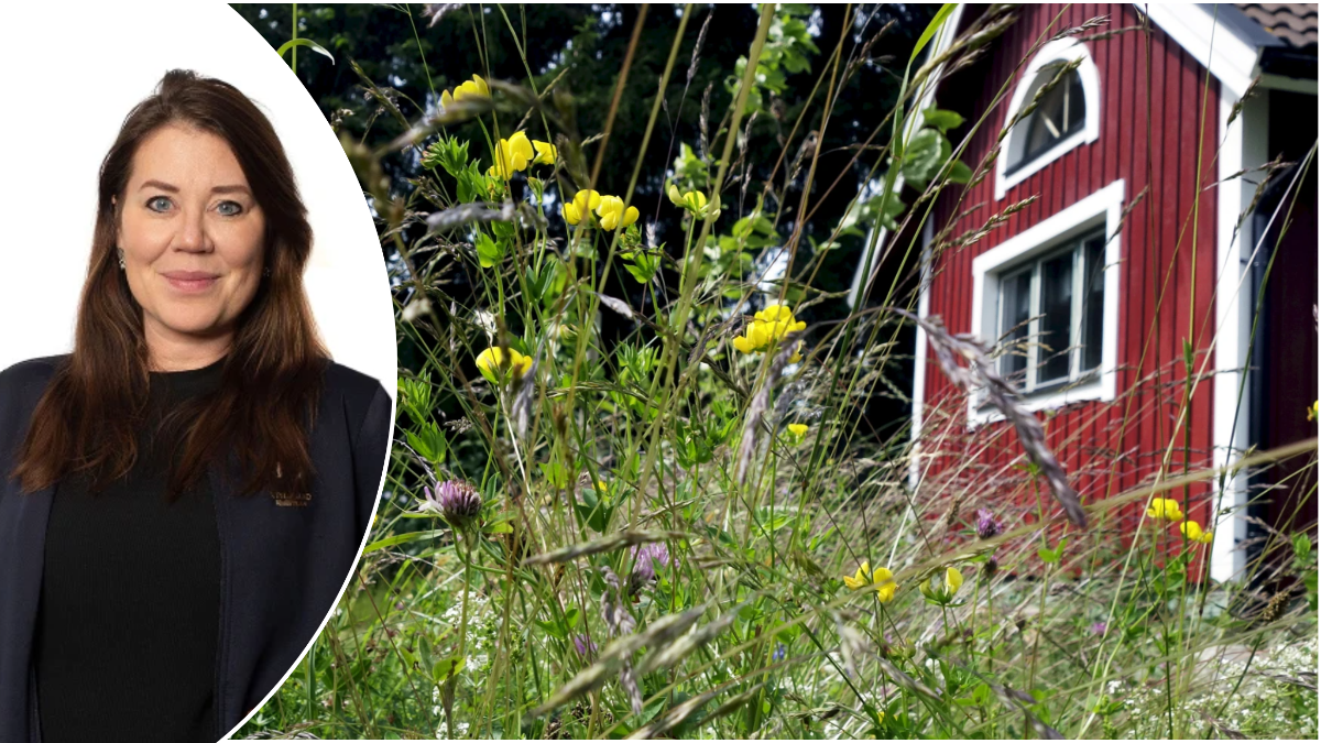 LI SKARIN: Hägg, helvetesrubriker och tacksamhet