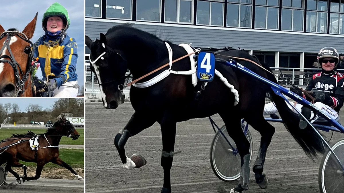 Young Yack Premiärvann I Dubbel Bemärkelse
