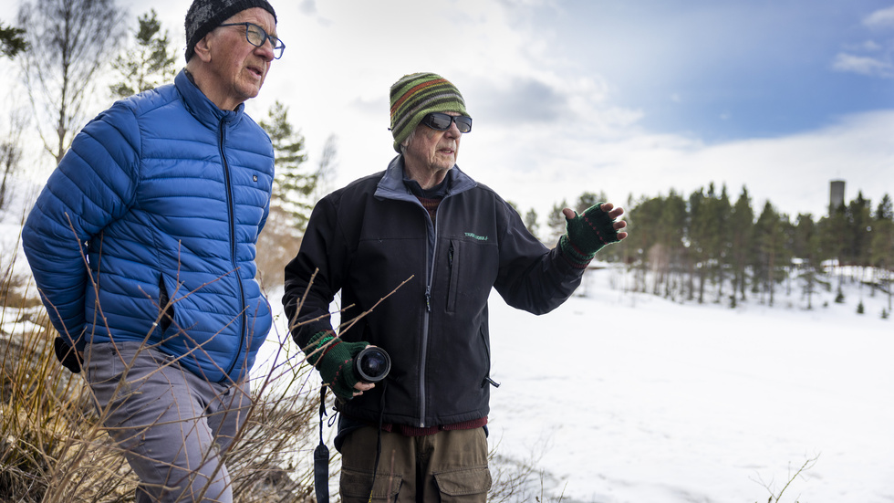 Fisken dör i populära sjön – larm om övergödning