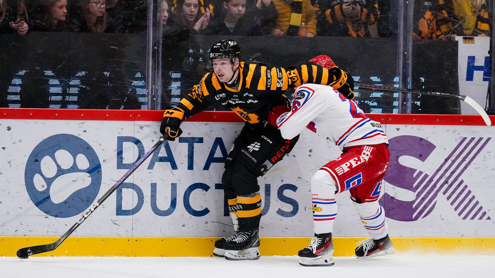 Skellefteå AIK-backen lånas ut – till AIK